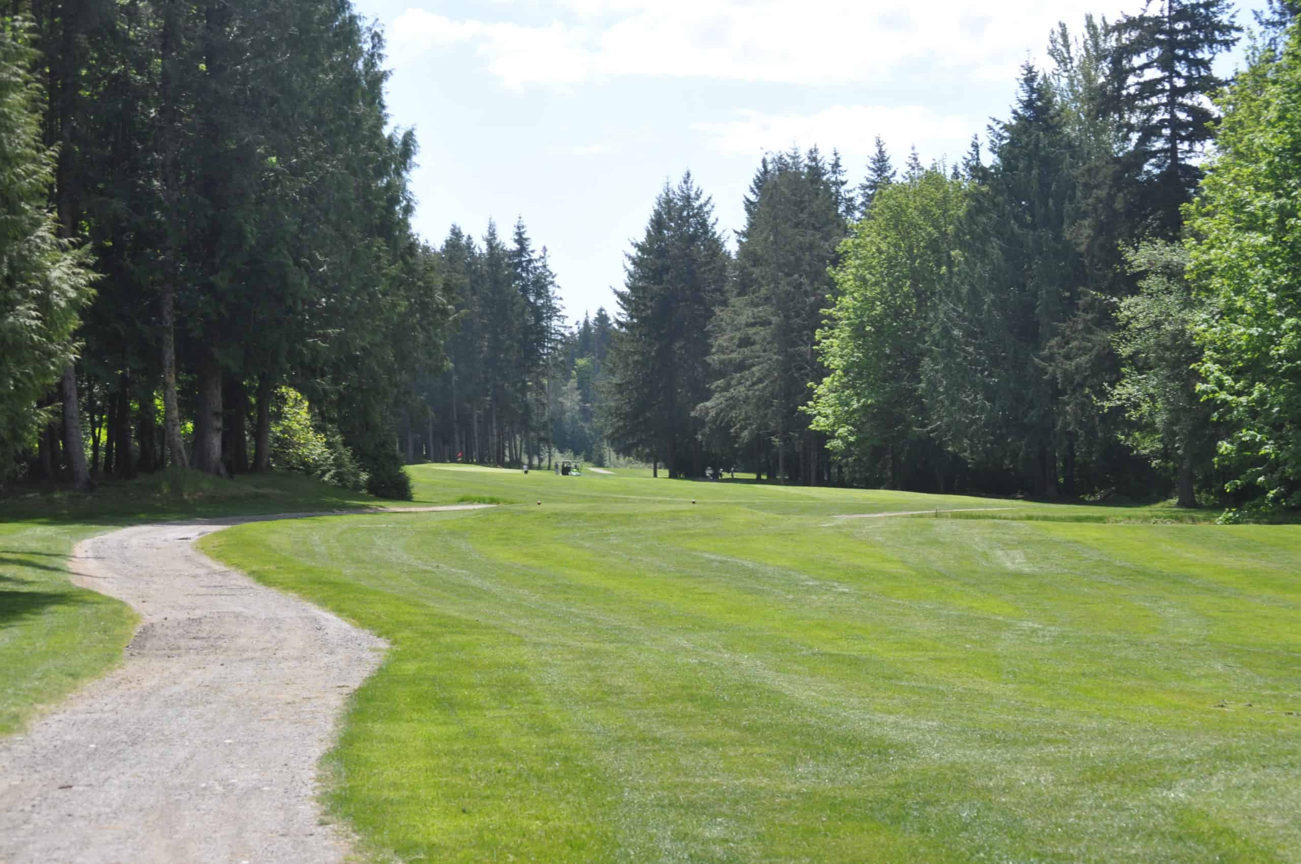 Home - NWGolfing